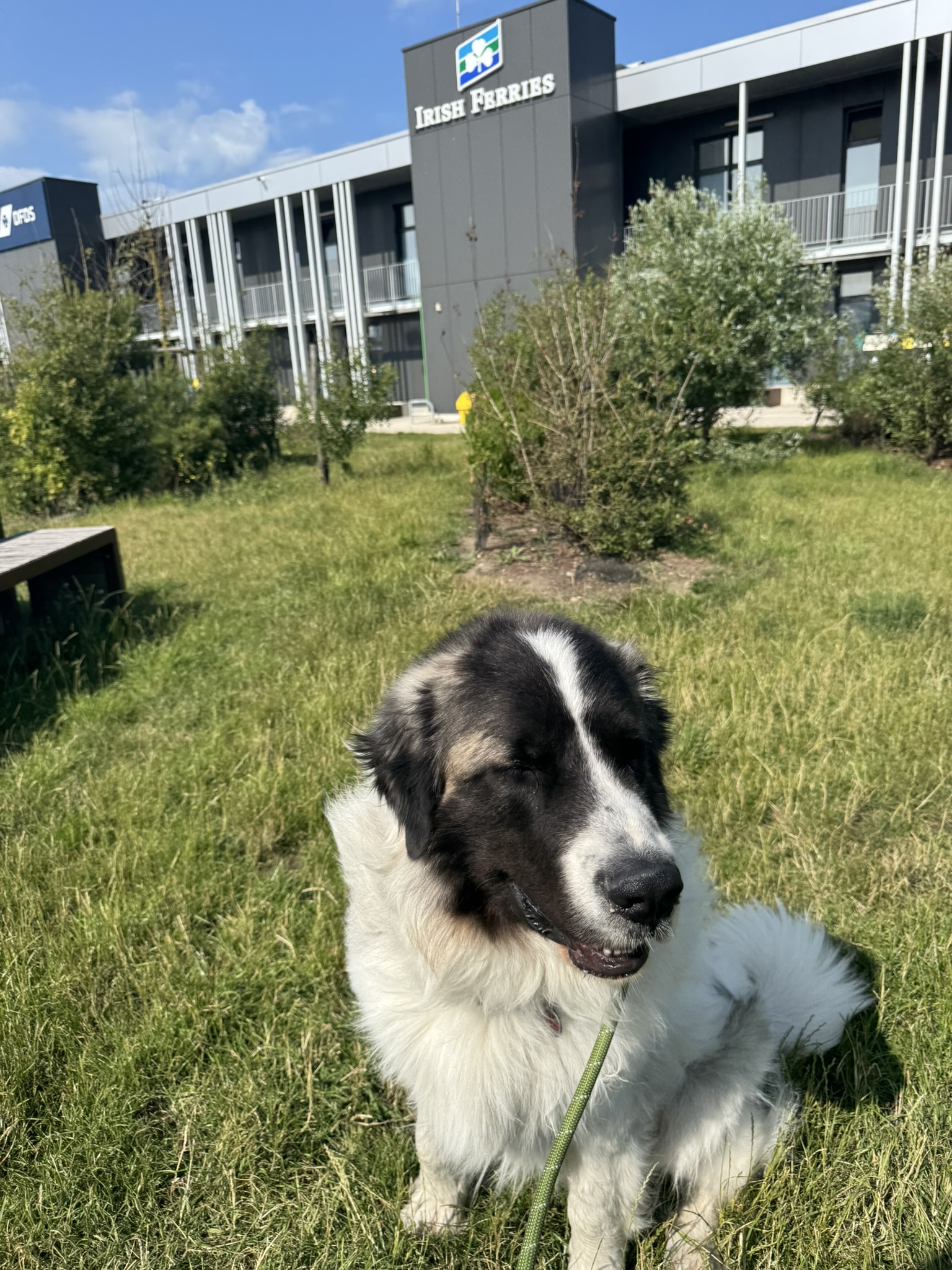 DEFRA-Approved Pet Transport | UK & Europe | Pet Transporters